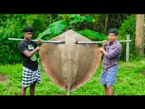 How To Cook Stingray Fish Cutting Skill | Only in the Philippines - YouTube