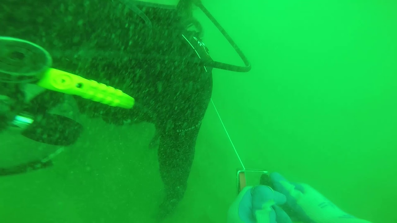 x Dare's Reef Topsail Island, NC Underwater, Check out the Growth ...