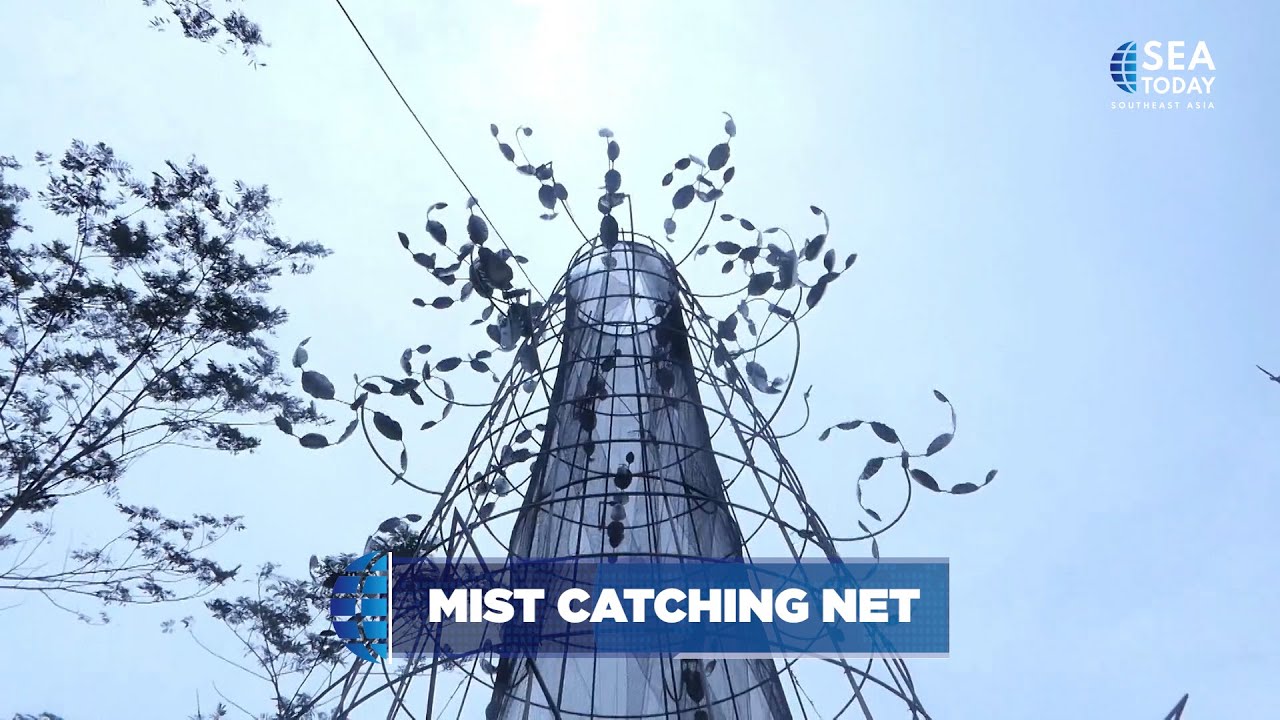 Mist Catching Net - YouTube