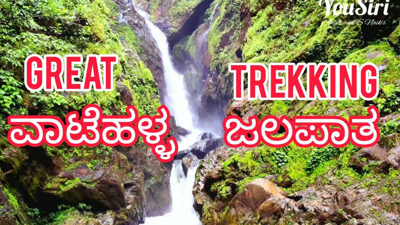 ವಾಟೆಹಳ್ಳ ಜಲಪಾತ, vatehalla falls.. Siddapur.. Nilkunda.. Uttara kannada ...
