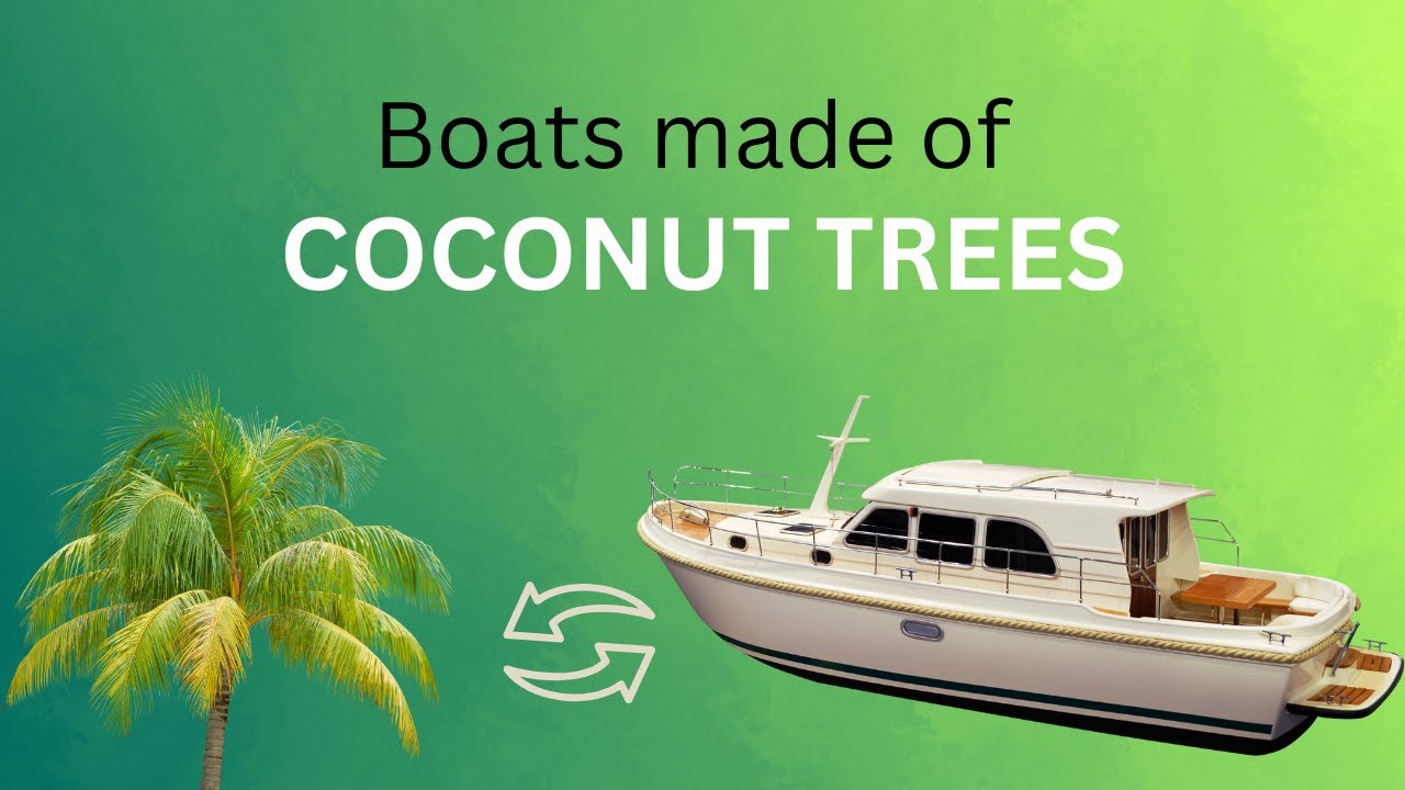 How we made boats out of coconut trees | COCONUT TREE | BOAT - YouTube