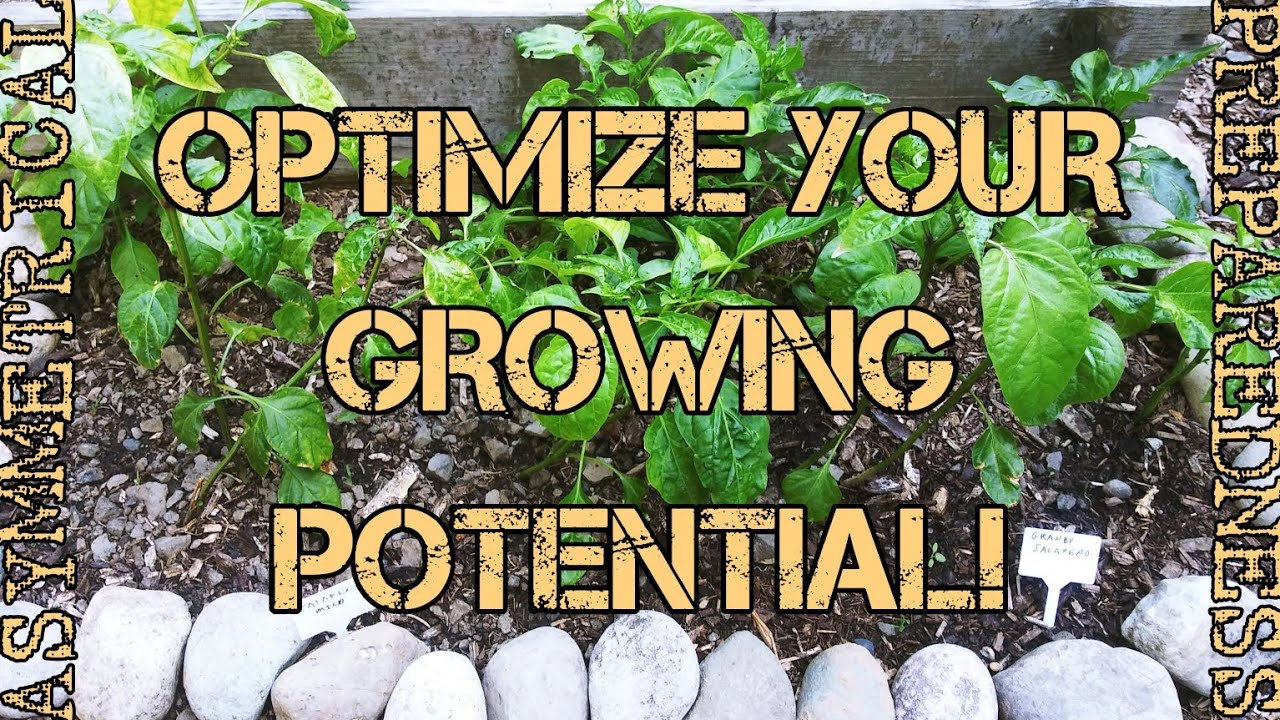 Fighting Pests In The Garden! Optimize Your Growing Potential! - YouTube