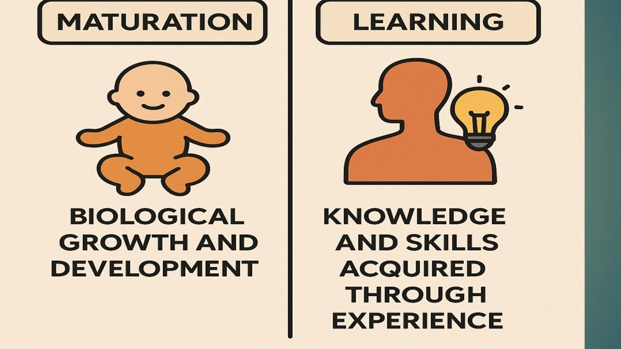 Difference between maturation and learning - YouTube