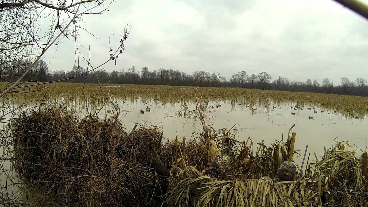 Duck Hunt - Duck Hole - 12-30-14 - YouTube