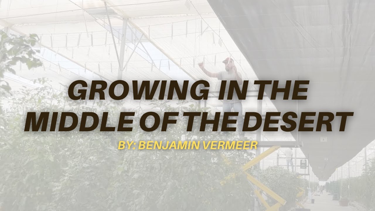 Growing in the middle of THE DESERT | Benjamin Vermeer - YouTube