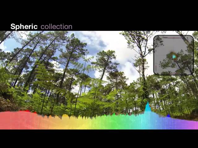 Forest Atmosphere | Forest Sound Effects Library | Asoundeffect.com