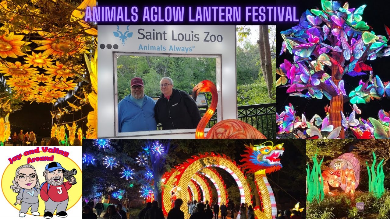 Experience The Magic : Animals Aglow Lantern Festival At St Louis Zoo ...