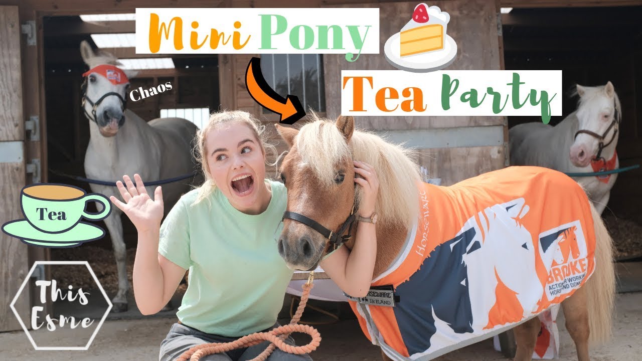 Minature Pony Tea Party *Chaos* | This Esme - YouTube