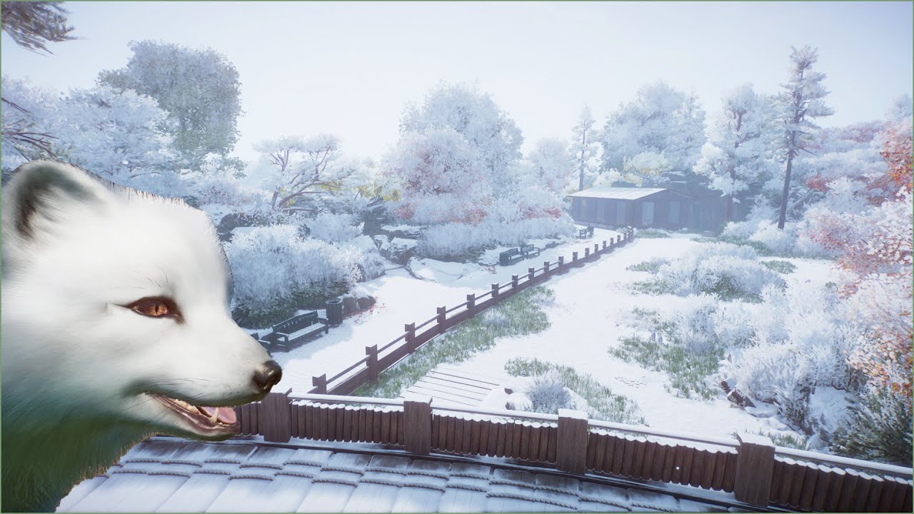 ️Cute little arctic fox habitat | Quaco Zoo | Planet Zoo | speedbuild🌻 ...