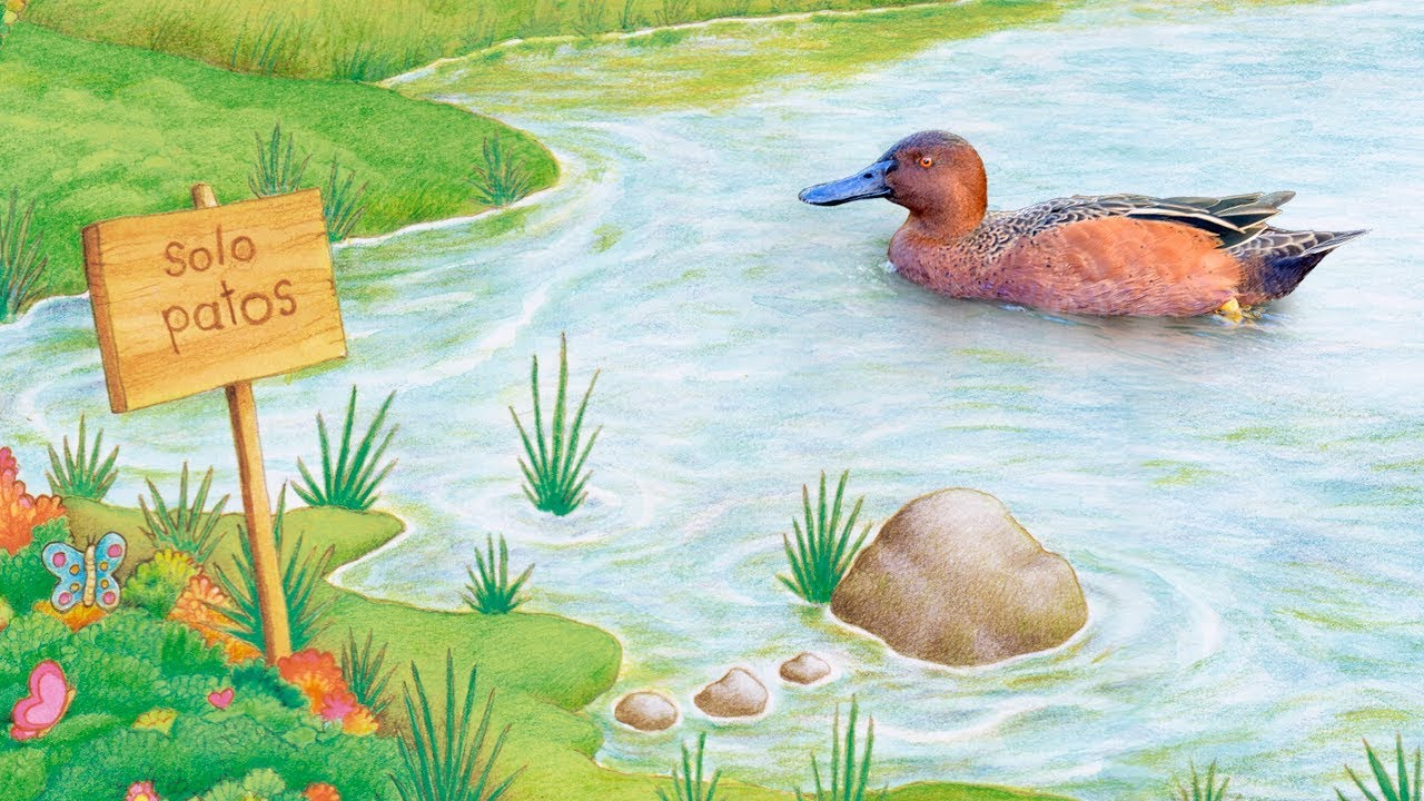 ¿Eres un pato? Book Trailer - YouTube