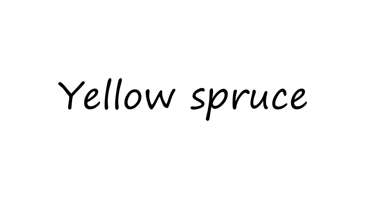How to Pronounce Yellow spruce? - YouTube