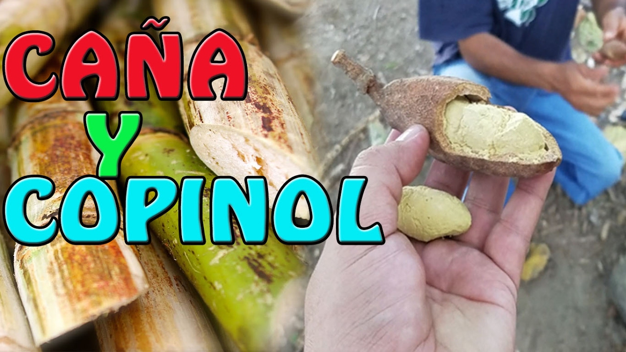 CAÑA Y COPINOL EN EL RIO EL SALVADOR YOUTUBERO SALVADOREÑO - YouTube