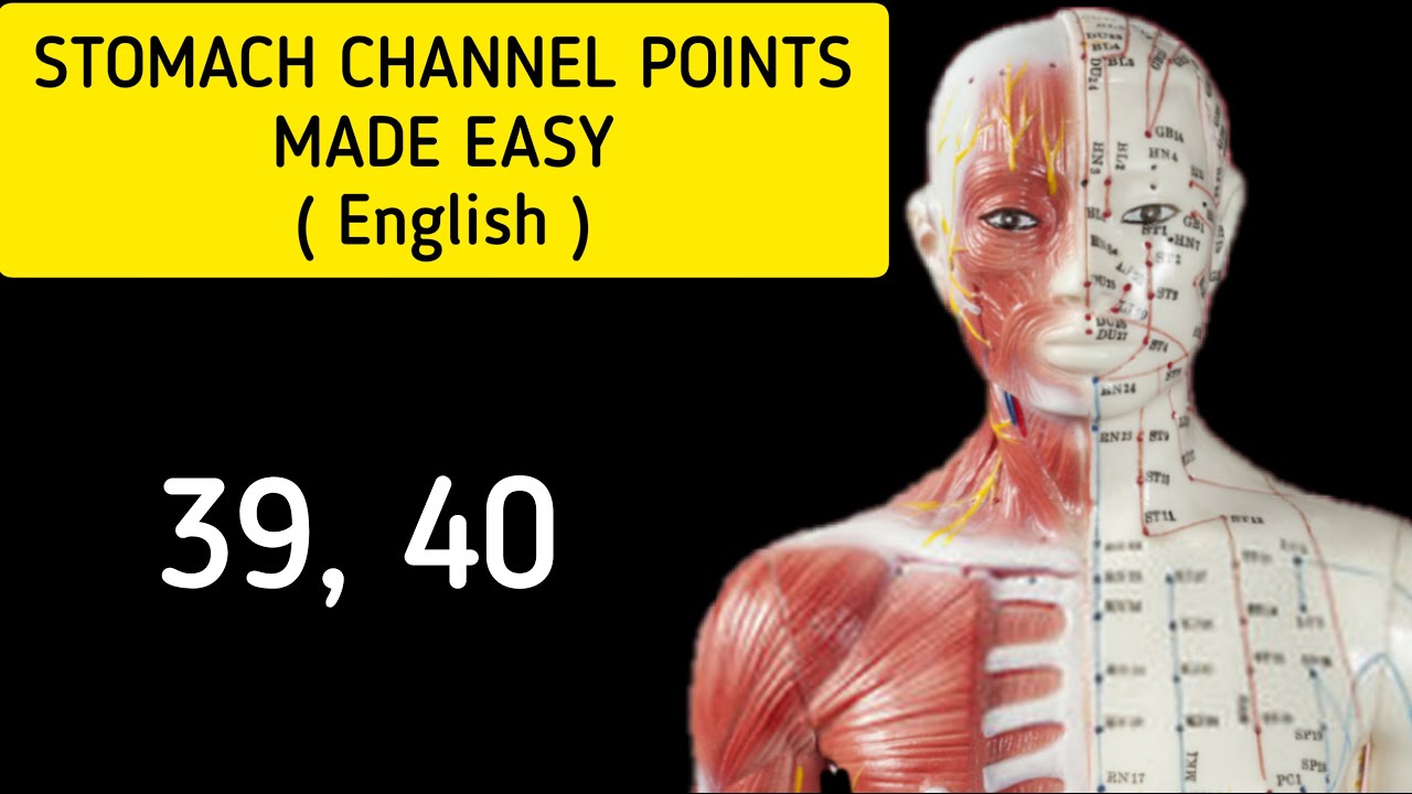 Stomach Channel Points - Stomach 39, 40 (English) - YouTube