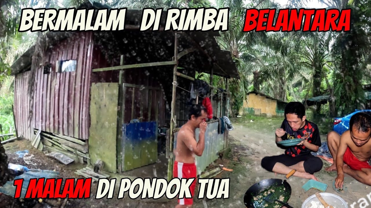 Bermalam Di Rimba Belantara - 1 Malam Di Pondok Tua - YouTube