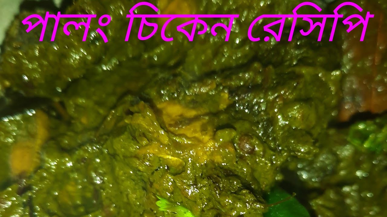 পালং চিকেন||Palak Chicken Recipe||Palong Chicken In Bengali||Palak ...