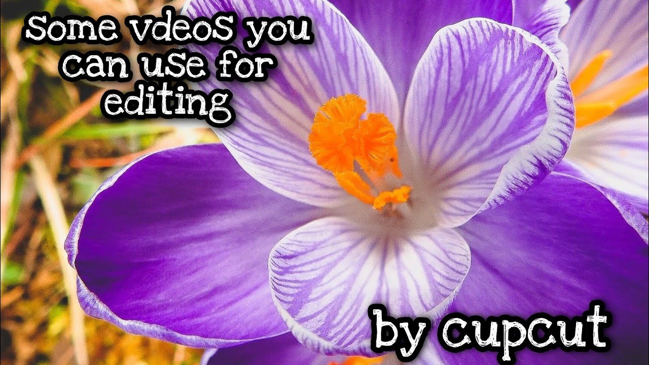 some videos you can use from cup cut editing with random pictures/video ...