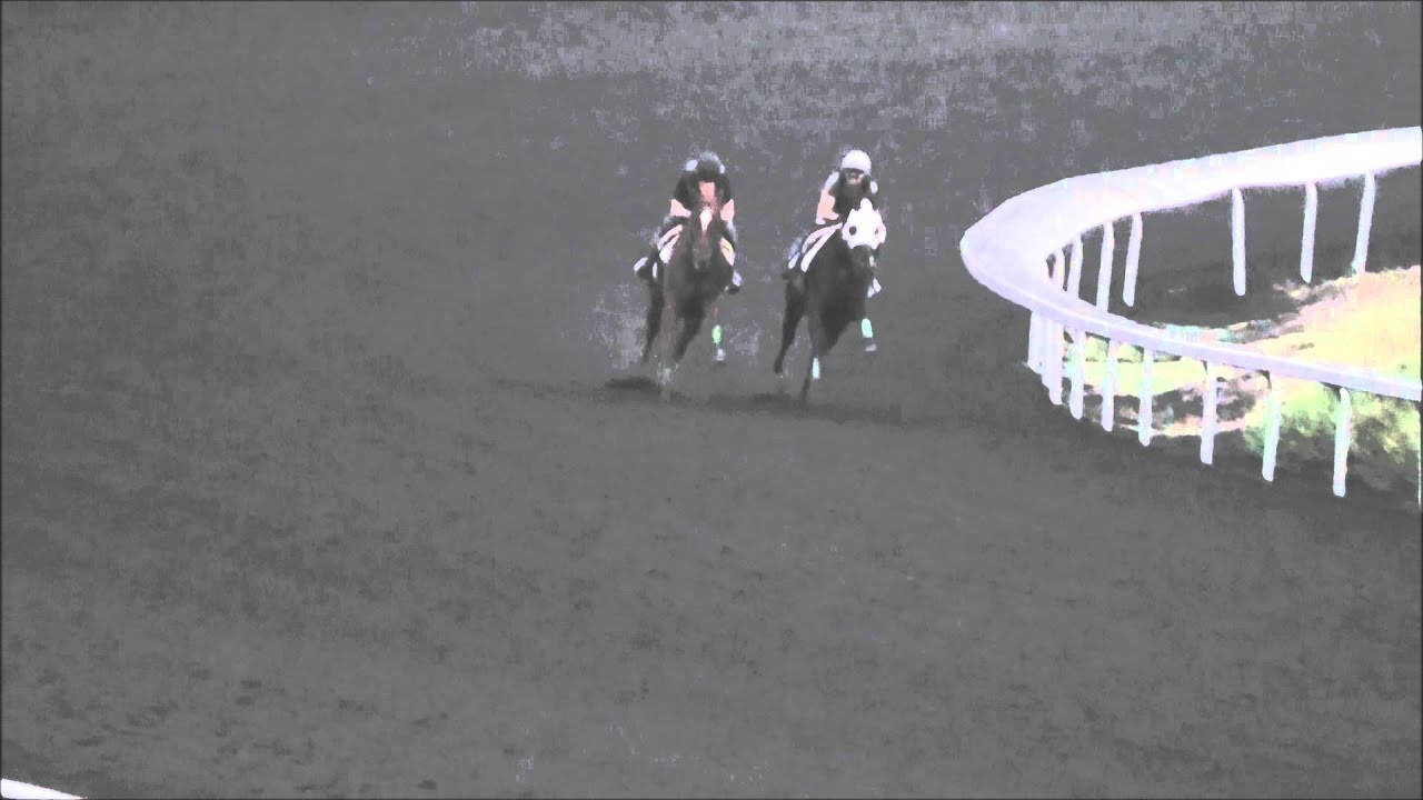 Blinkers On Horse Racing Partnerships Running Water 7/10/13 - YouTube