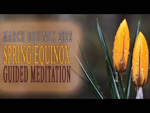 Spring March Equinox 2025 guided Meditation plant seeds & intention ...