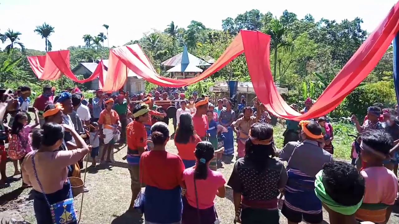 Keunikan pikul babi orang sumba - YouTube