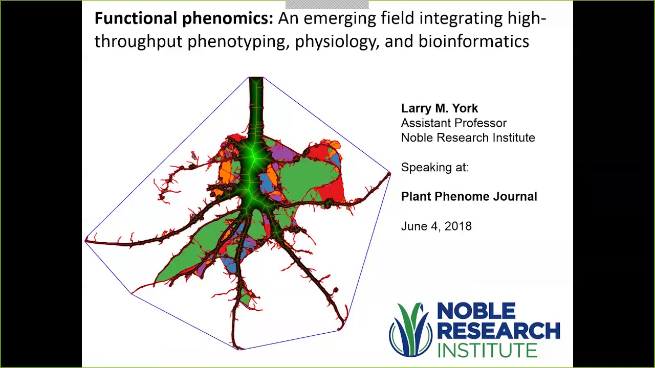 Functional phenomics: An emerging field integrating high-throughput ...