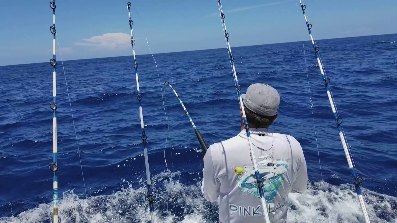 Pink Lady DR Fishing - YouTube