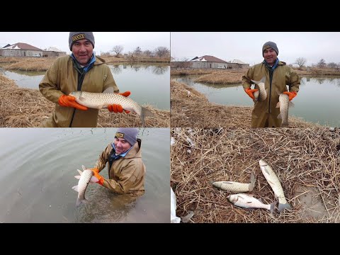 Baliqchi Nuraddin og'a Baliq ovida 🎣 🐟 