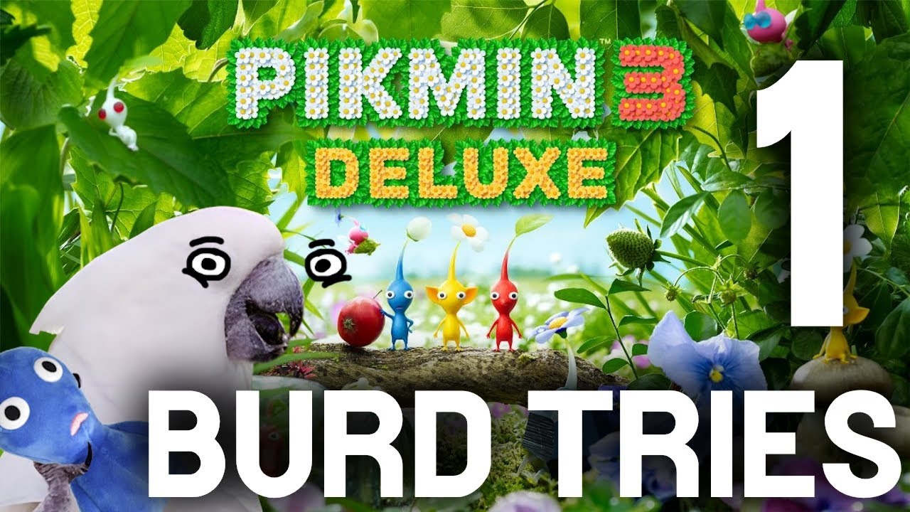 The Wii U May Have Sucked, But The Games Were Good! | Burd Tries ...
