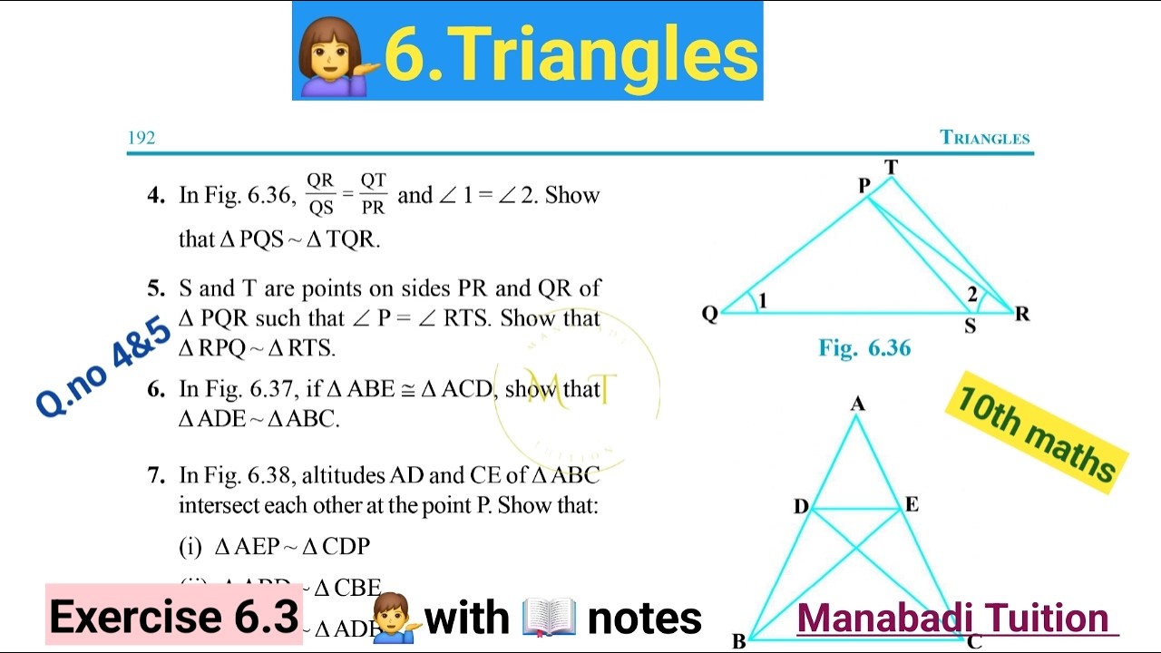 10th class math| Chapter 6|Triangles| Exercise 6.3| Q no 2&3|with notes ...