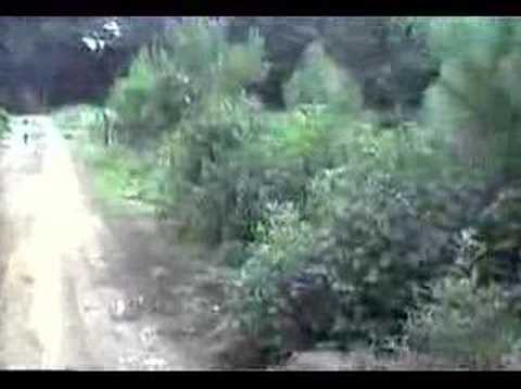 el terrero y el campo 4 en Colima 1998 part 2 - YouTube