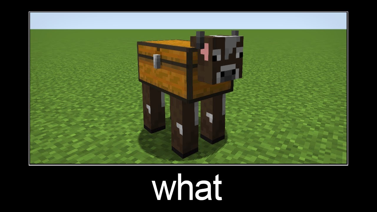Minecraft wait what meme part 73 (cow chest) - YouTube