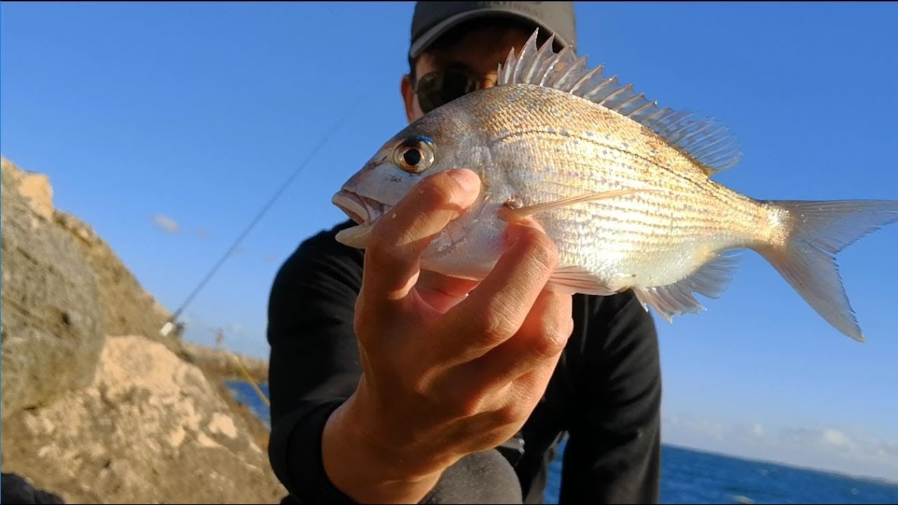Rock fishing at Jervoise Bay Cove, Coogee (pink snapper, silver bream ...