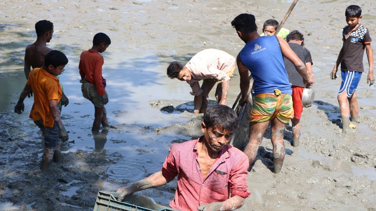 People Catching & Traditional Fishing Village Pond । Amazing Fish ...