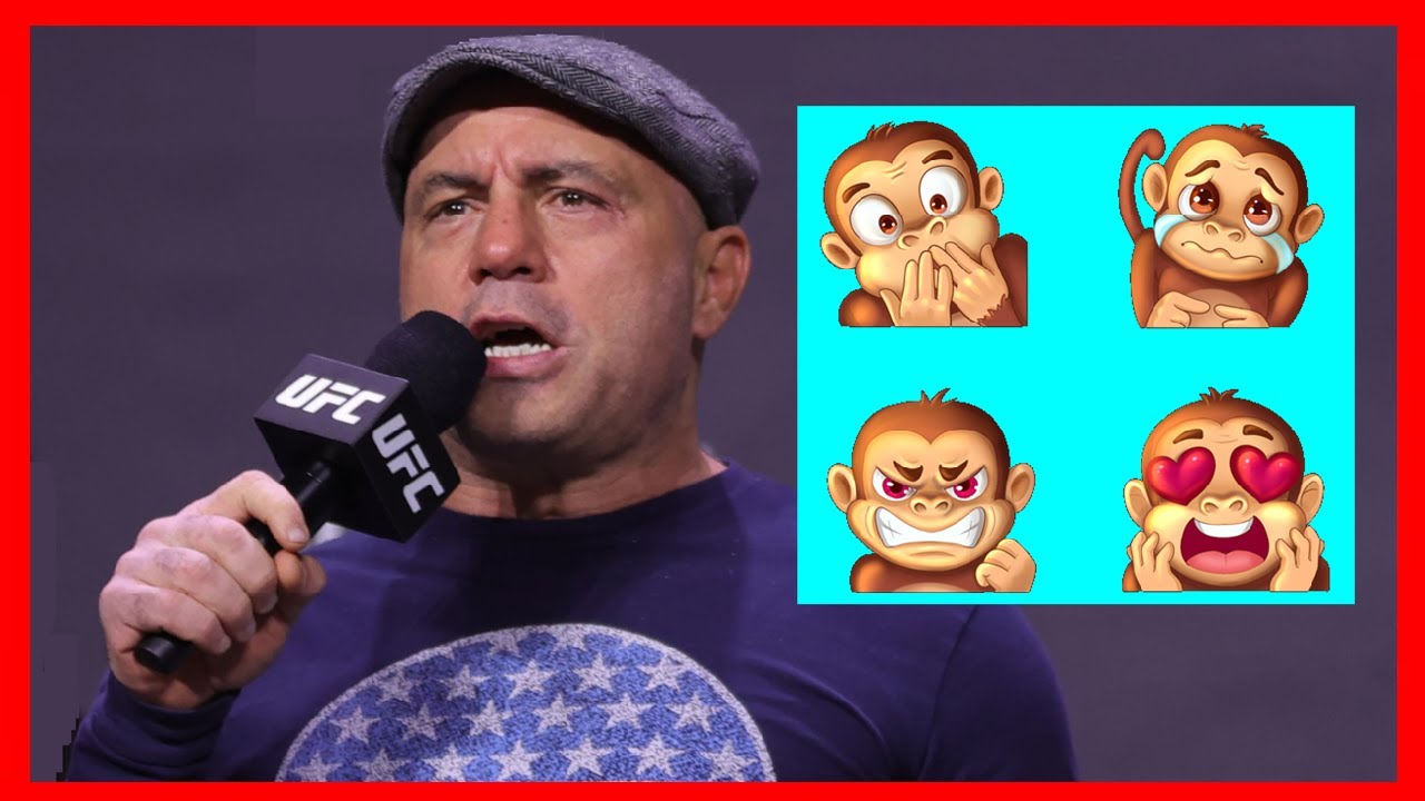 Daily Dose Of Memes Joe Rogan and The Chimps - YouTube