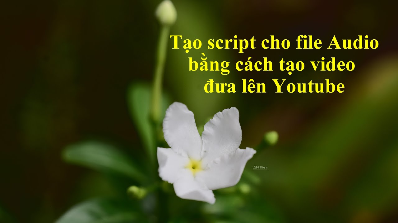 Cách lấy Script cho file audio qua Youtube - YouTube