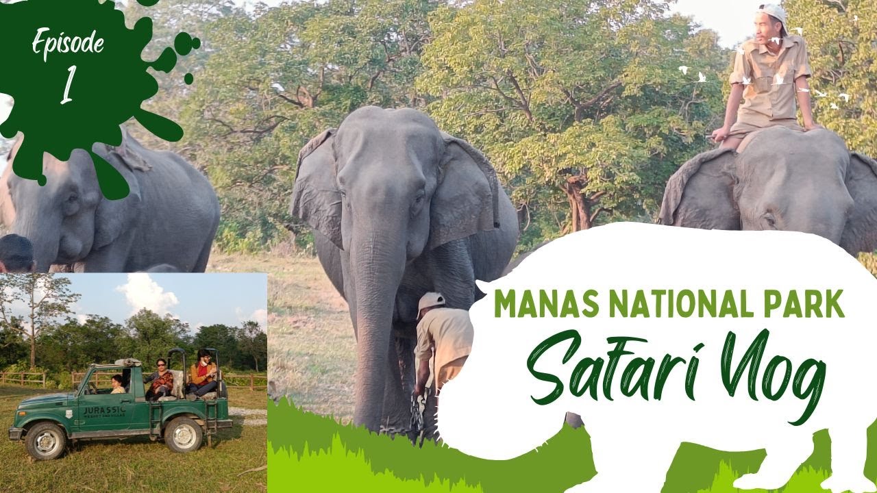 Manas National Park | Evening Safari | Manas River | Assam | December ...