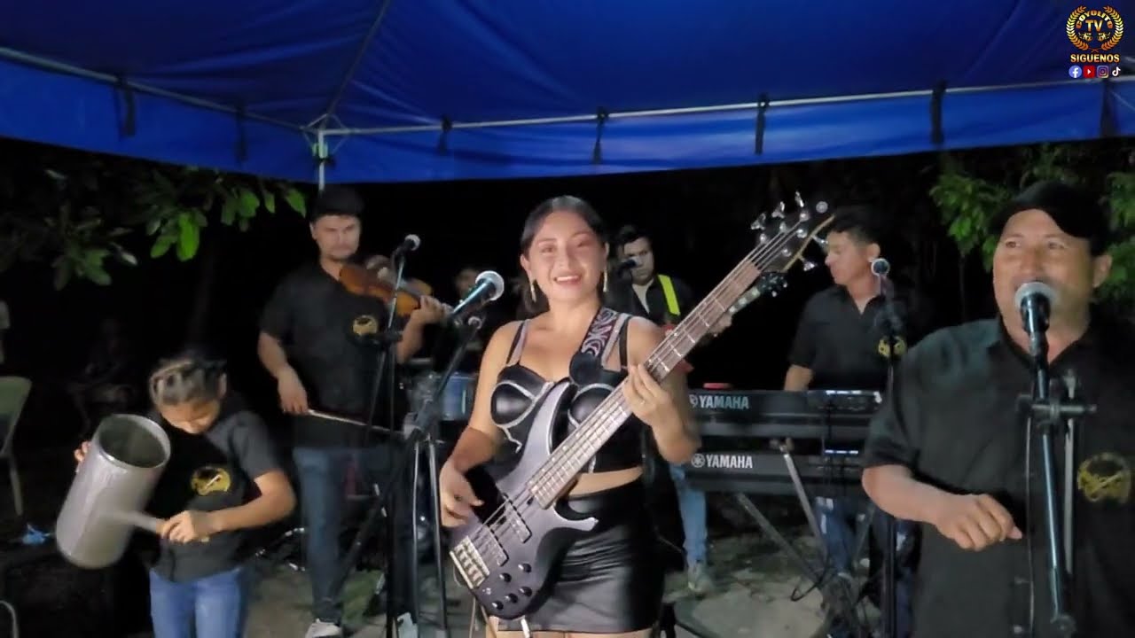 LA ABEJA MIOPE Y LAS 7 HERMANAS EMILIO Y SU CHANCHONA #campirano #music ...