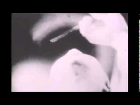 Kodagain - A Flatterer