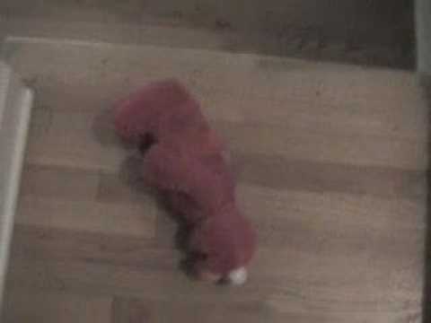 When Elmo Falls (Episode 1) - YouTube