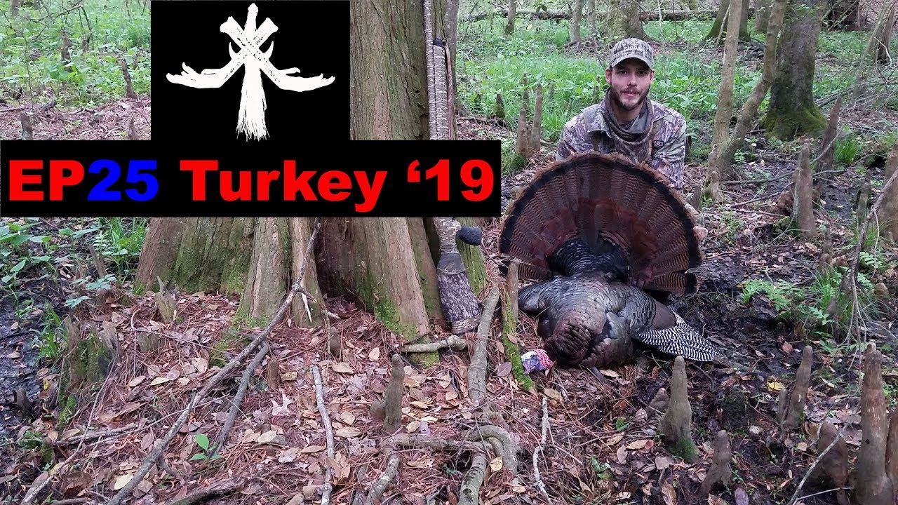 AFTERNOON SWAMP GOBBLER - YouTube
