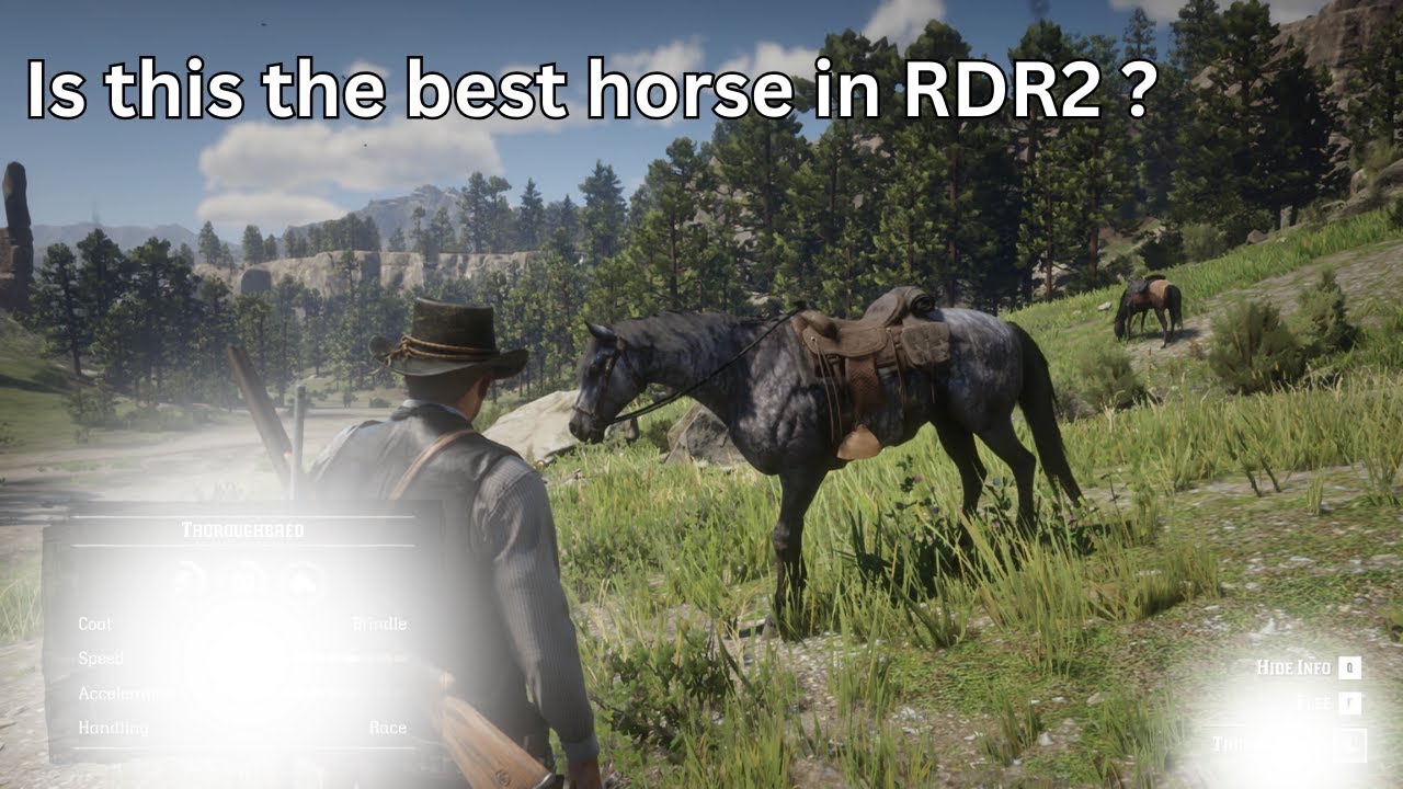 how to get best horses in rdr2 | Brindle Thoroughbred | rdr2 - YouTube