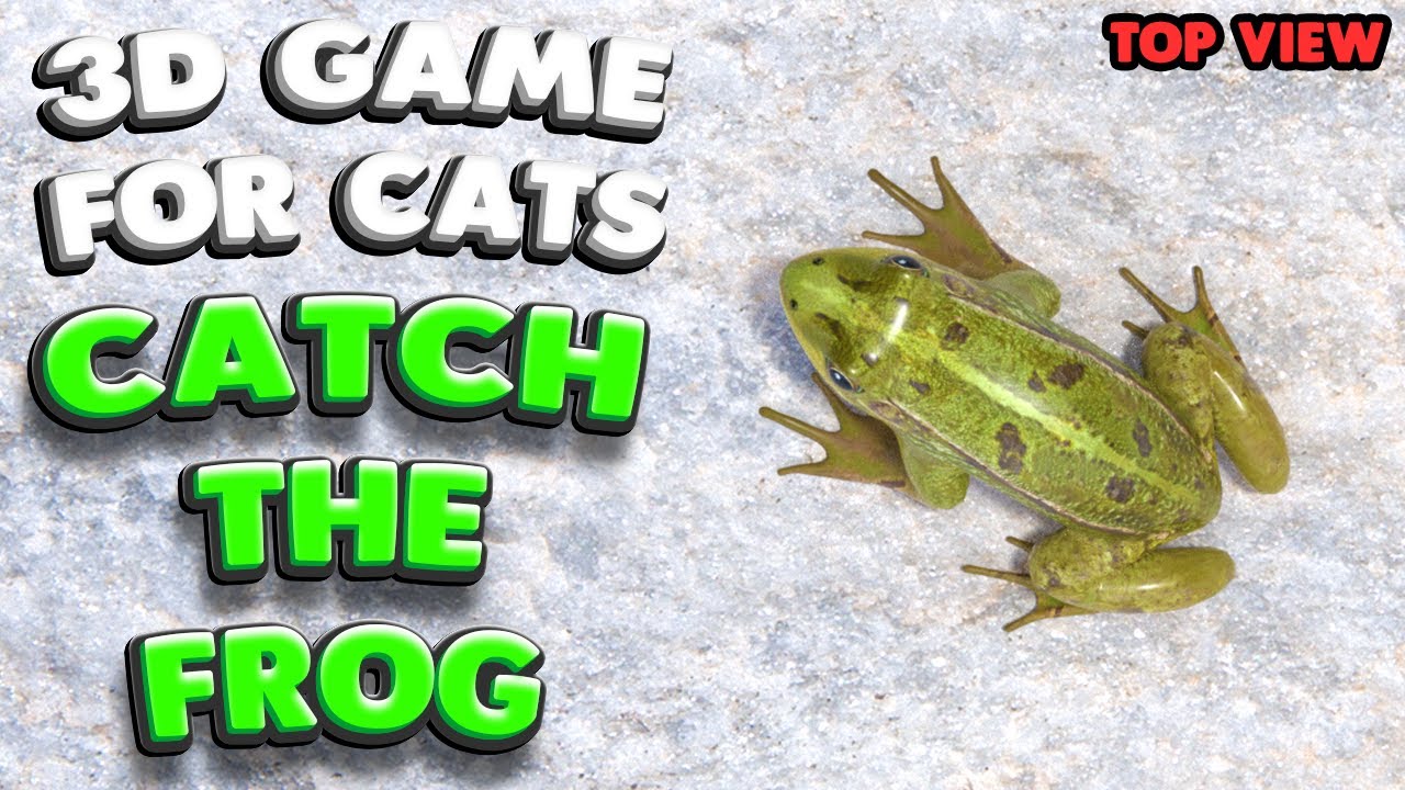 3D game for cats | CATCH THE FROG (top view) | 4K, 60 fps, stereo sound ...