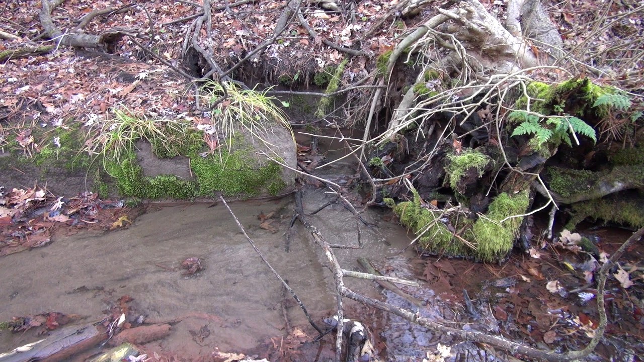 Ground water percolating up to a stream - YouTube
