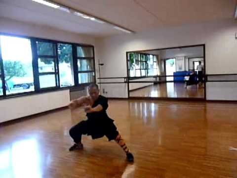 Maestro Shi Yan Hui - Shaolin Da Hong Quan - YouTube