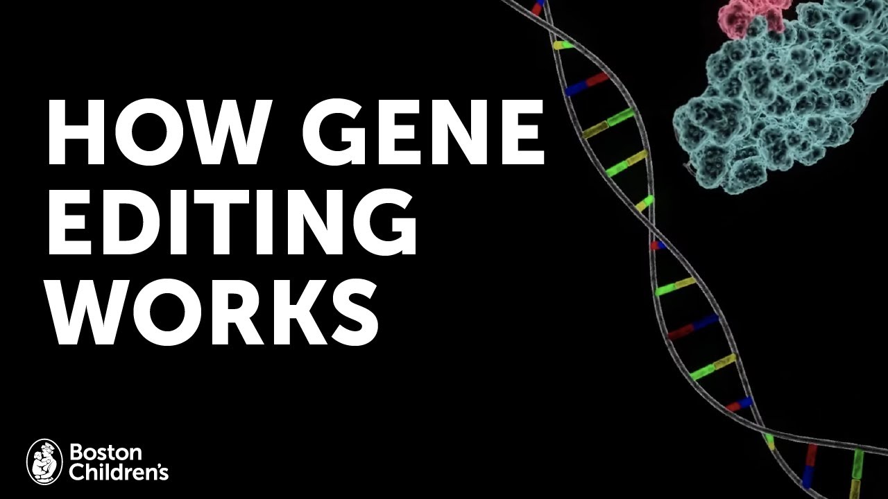 How Gene Editing Works | Boston Children’s Hospital - YouTube