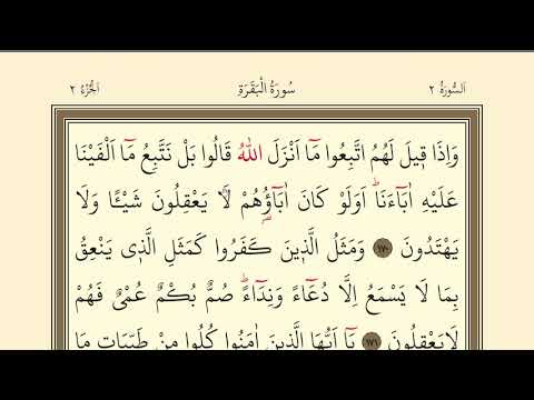 25.DERS | KURANI KERİMİ YAVAŞ VE TECVİTLİ OKUMA DERSLERİ |BAKARA 170-176 | SURAH AL BAKARA READİNG