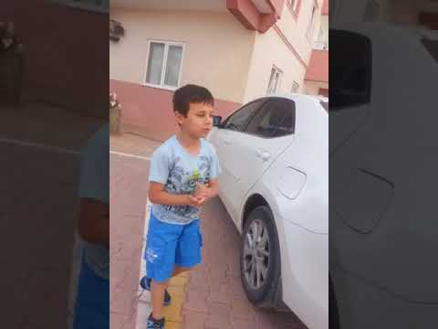 Araba çekimleri