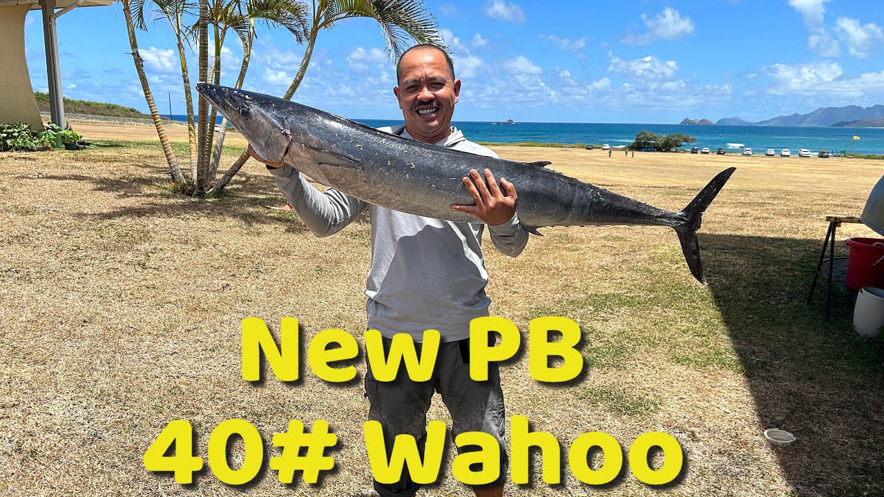 New Personal Best Wahoo 40# - YouTube