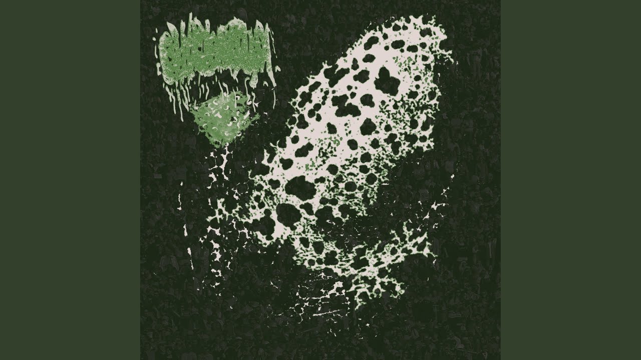 The Common Squeaker - YouTube