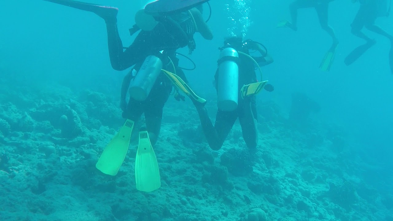 1st Diving Experience - YouTube