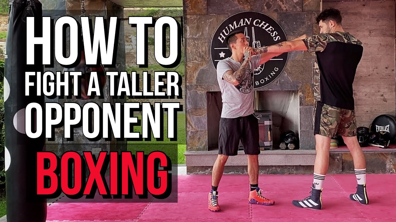 How to fight a Taller Opponent - YouTube